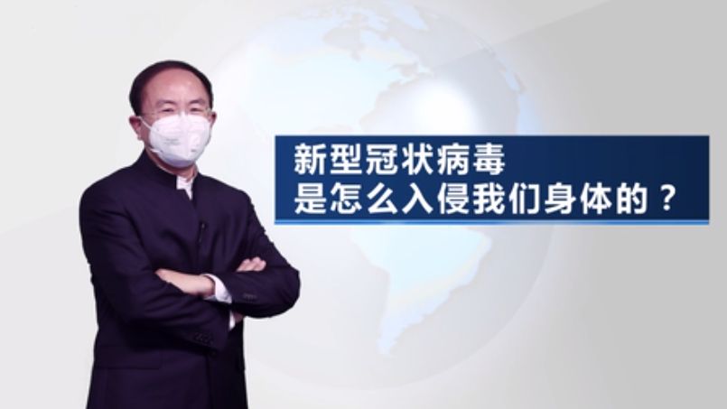 【问专家】新型冠状病毒是怎么入侵我们的身体?