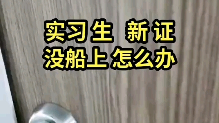 外贸需求实习水手机工,3～7W吨左右散货船,2～4W吨左右集装箱船,...