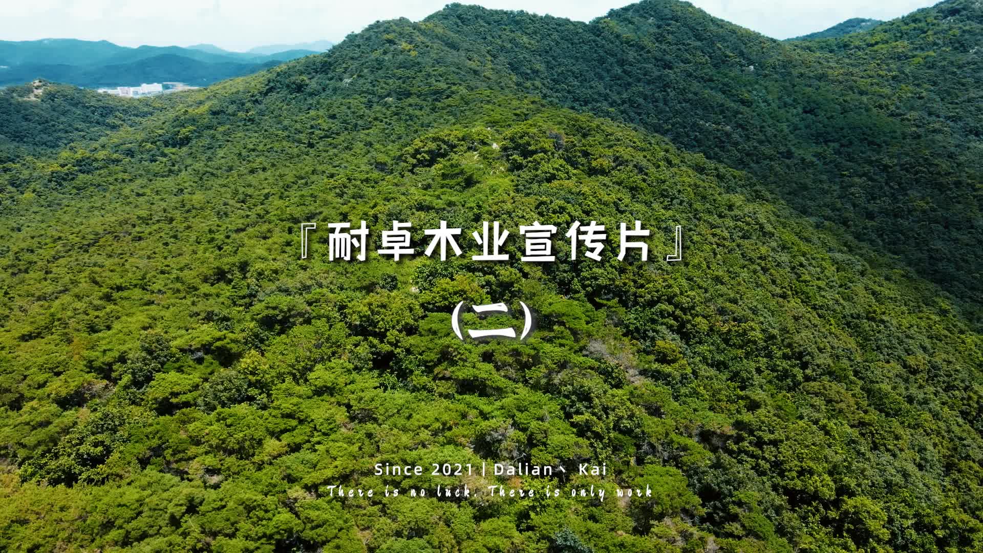 宣传片成片案例分享