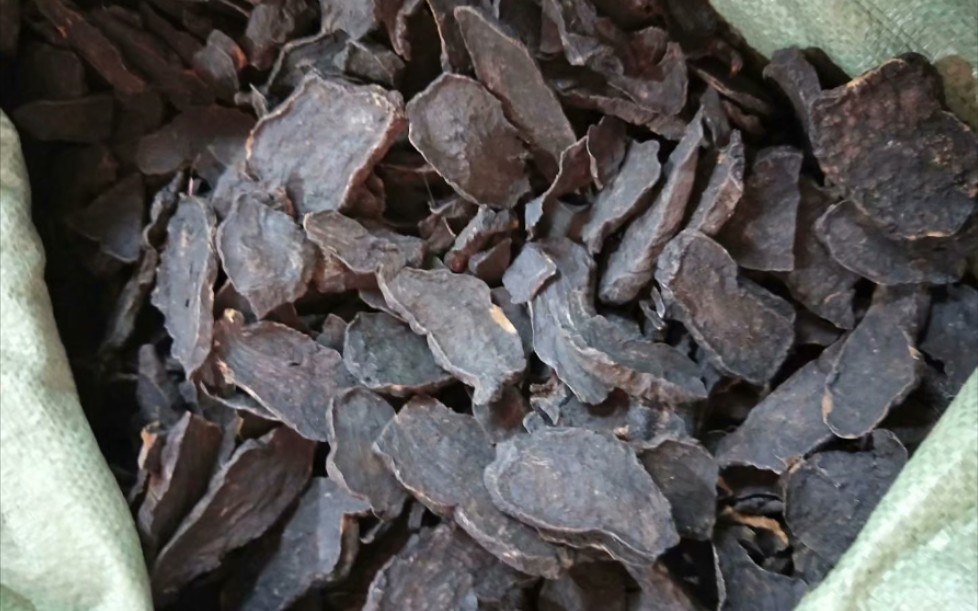 何首乌为蓼科植物何首乌的块根。秋后茎叶枯萎时或次年未萌芽前掘取...