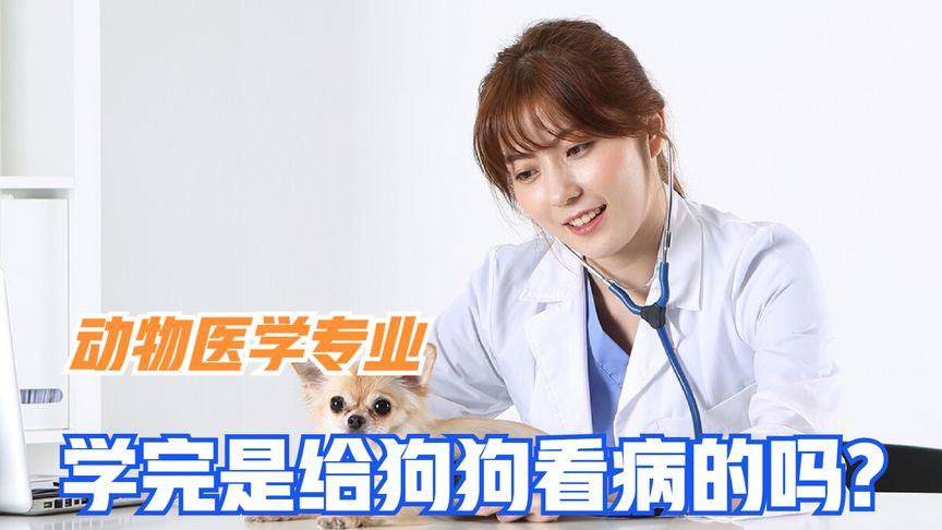 说说动物医学:高考报了这个专业,将来就能给狗狗看病吗