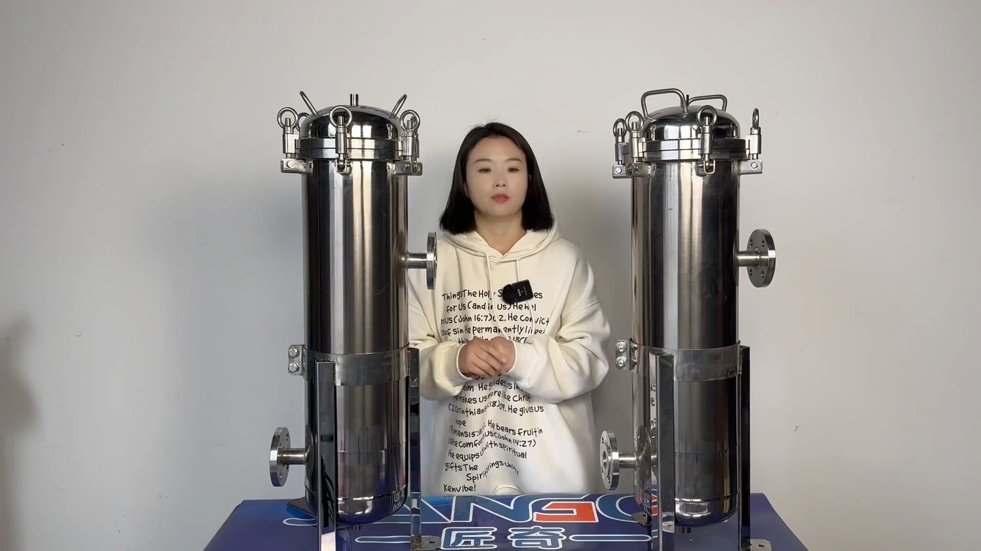 顶入式双联袋式过滤器