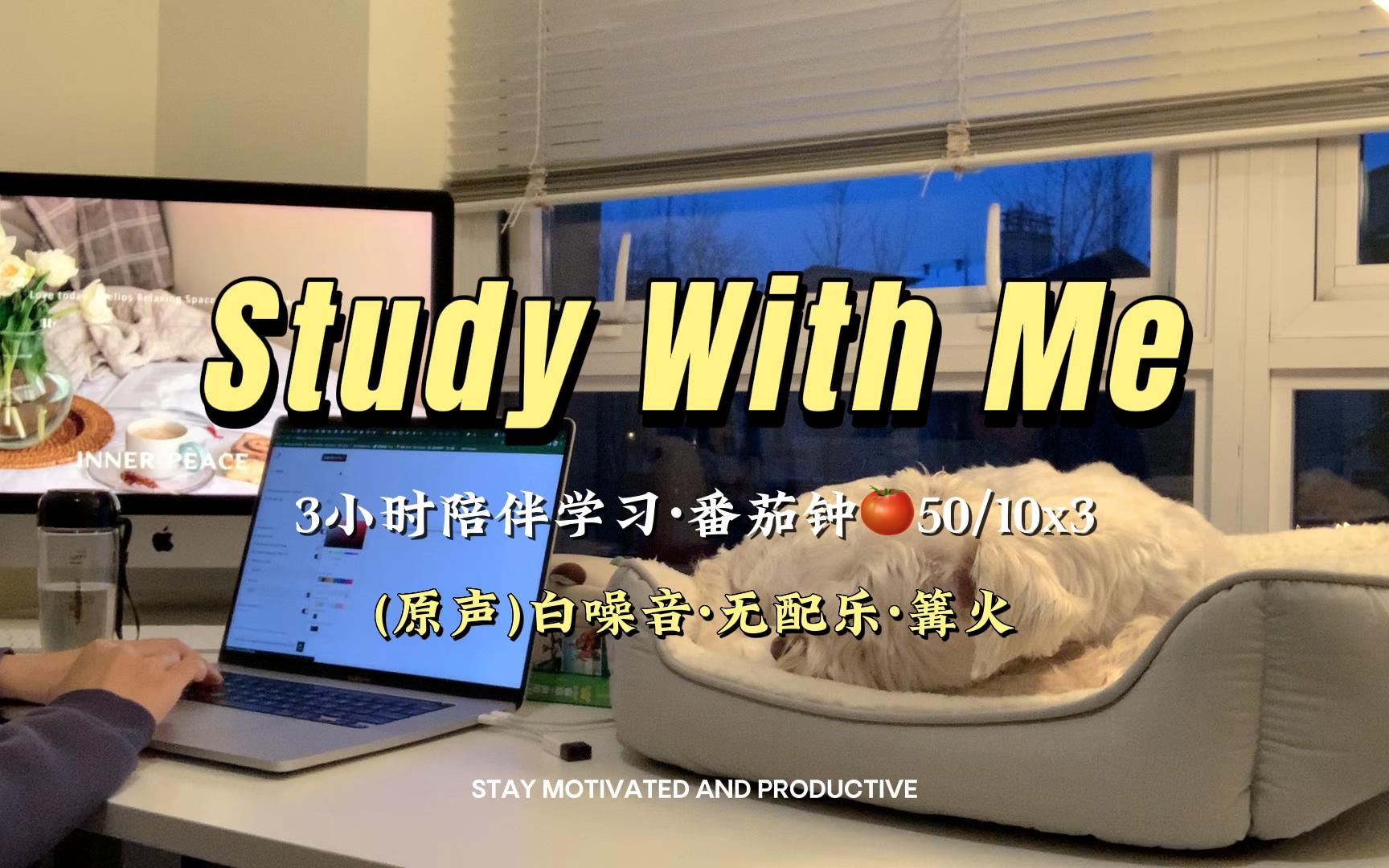 ...·番茄钟50/10x3 | 原声白噪音·篝火·无配乐 | 实时学习3小时 | 计时...
