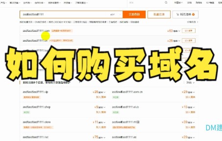 什么是域名,一个域名多少钱