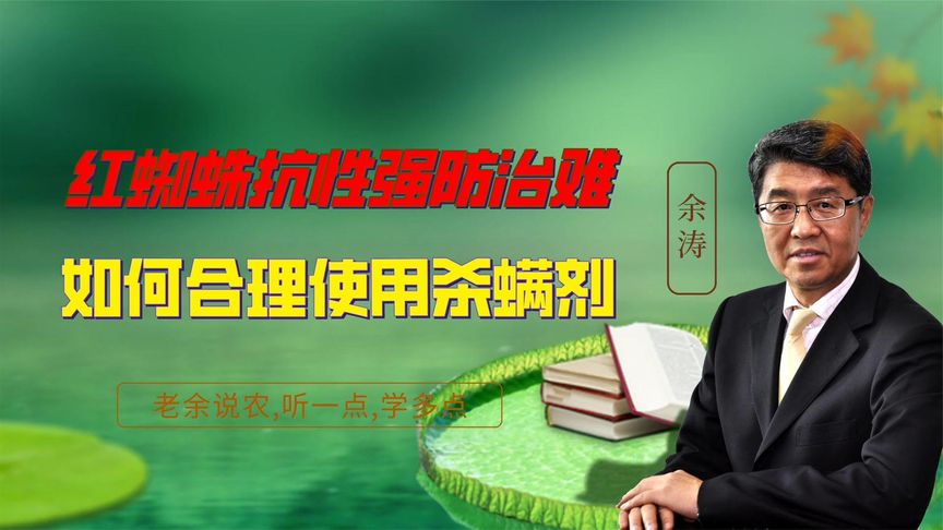 红蜘蛛抗性强、难防治,如何合理使用杀螨剂?
