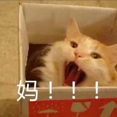 日常沙雕中二少年 