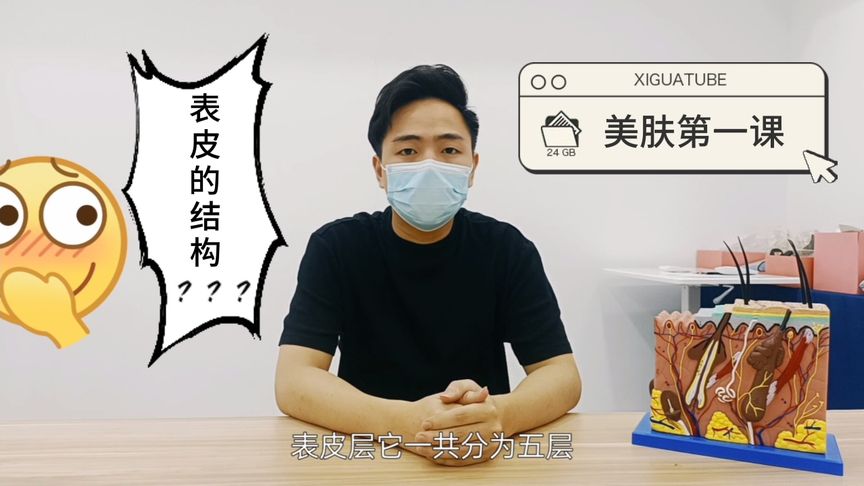 (美肤篇)表皮的结构