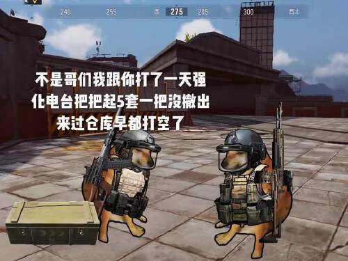 队友竟是暗区策划?这局游戏直接开启隐藏外挂模式!