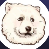 狗蛋日记