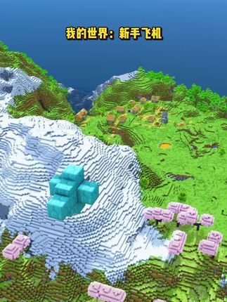 新手飞机!#我的世界 #我的世界建筑