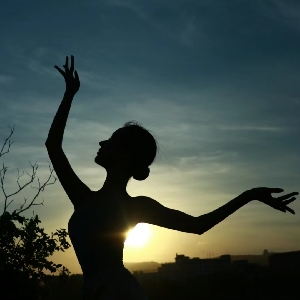 完整版威PT315530 