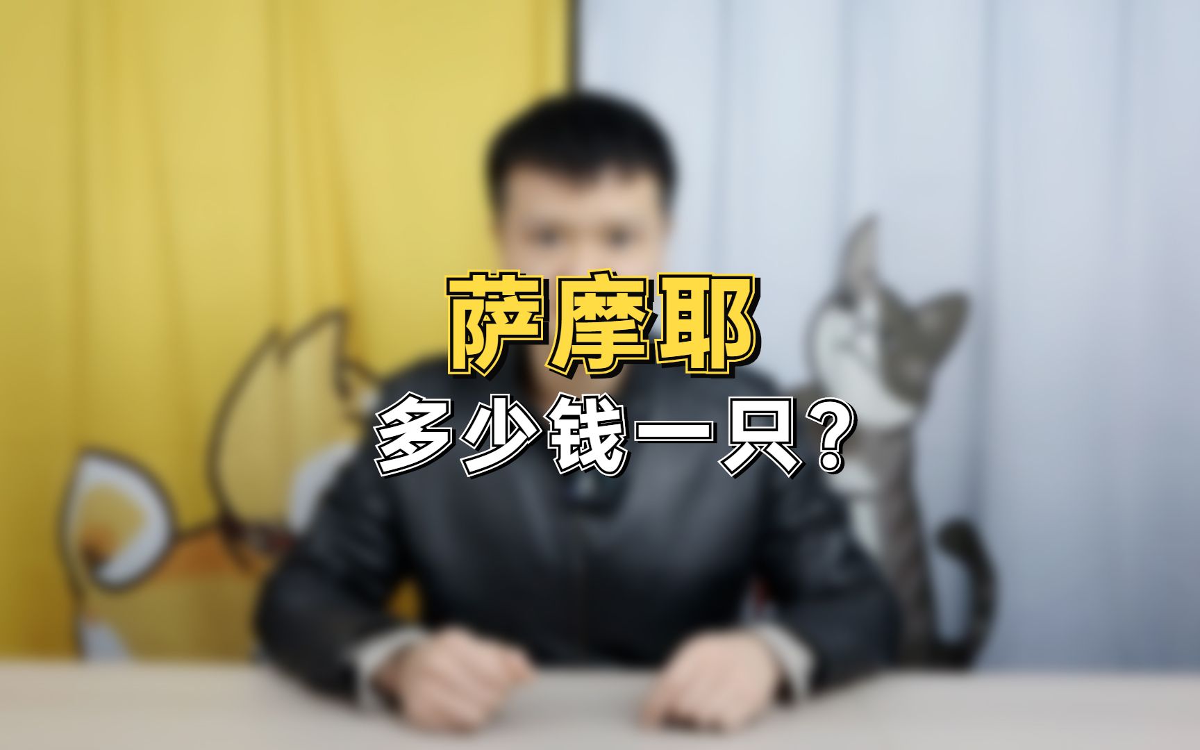 萨摩耶多少钱一只?
