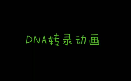 DNA转录动画