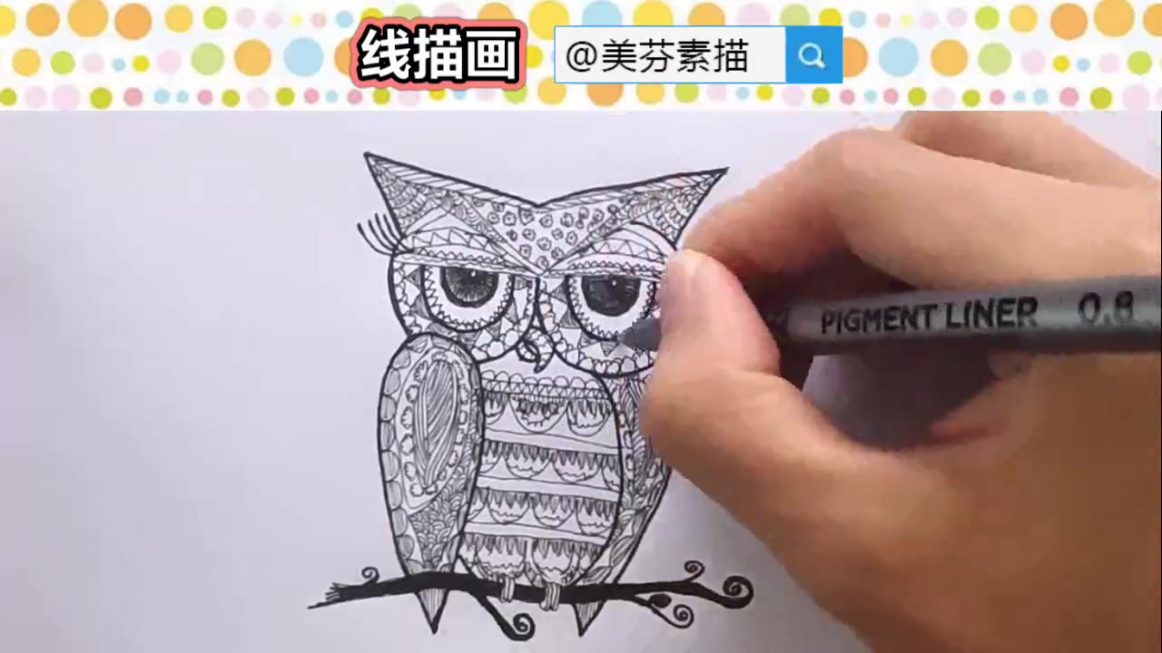 儿童创意线描画教程:一步一步教你画猫头鹰黑白线描画!猫头鹰手绘...