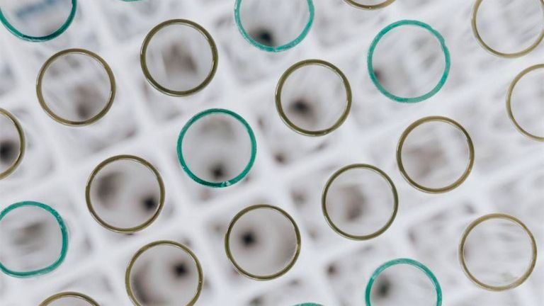 上海25家独立实验室可提供中英文新冠病毒核酸检测报告