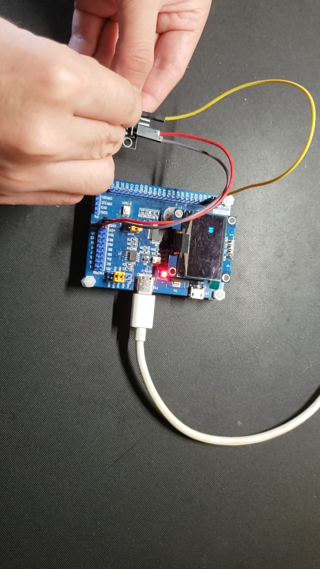 e小白开发板和增量式旋转编码器实验现象