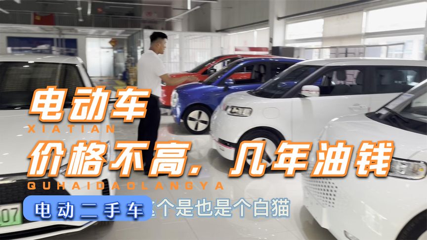 油价高了,是不是扛不住了,推荐几台家用电动车