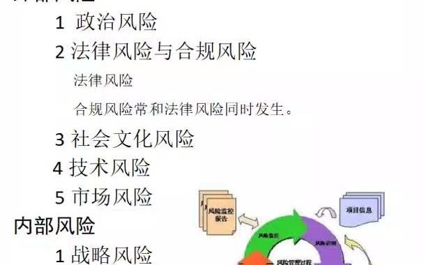 跨国公司经营风险概况分析