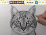 创意素描画小动物教程,教你用两只铅笔画一只可爱的小猫!