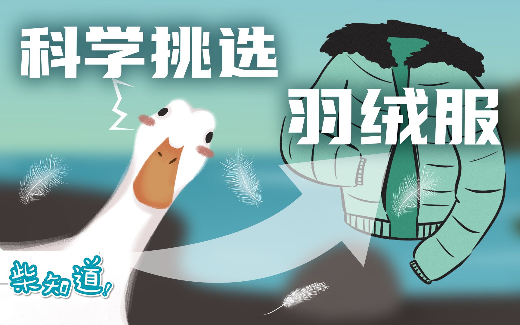 【柴知道】好的羽绒服贵在哪里?如何挑一件既暖和又实惠的羽绒服?
