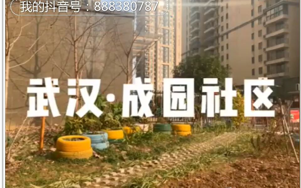 武汉·成汉社区的零废弃日常(介绍)