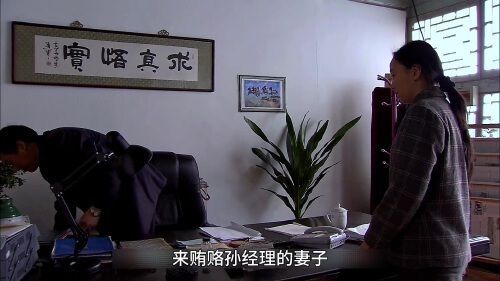 商业励志电视剧解说 国产热门好剧 女人远出创业经历