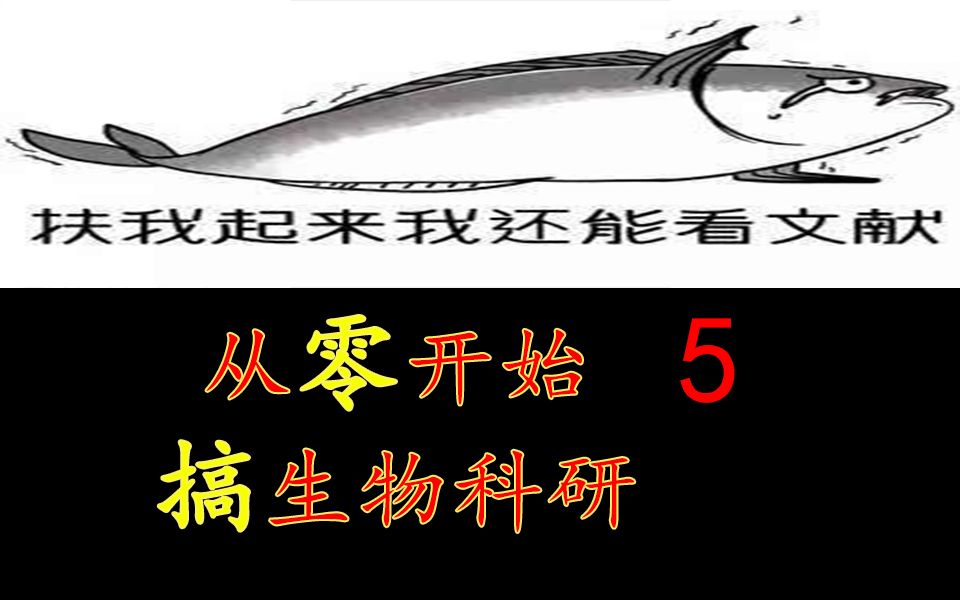 【从零开始搞生物科研】5,进入实验室的准备,移液枪的使用