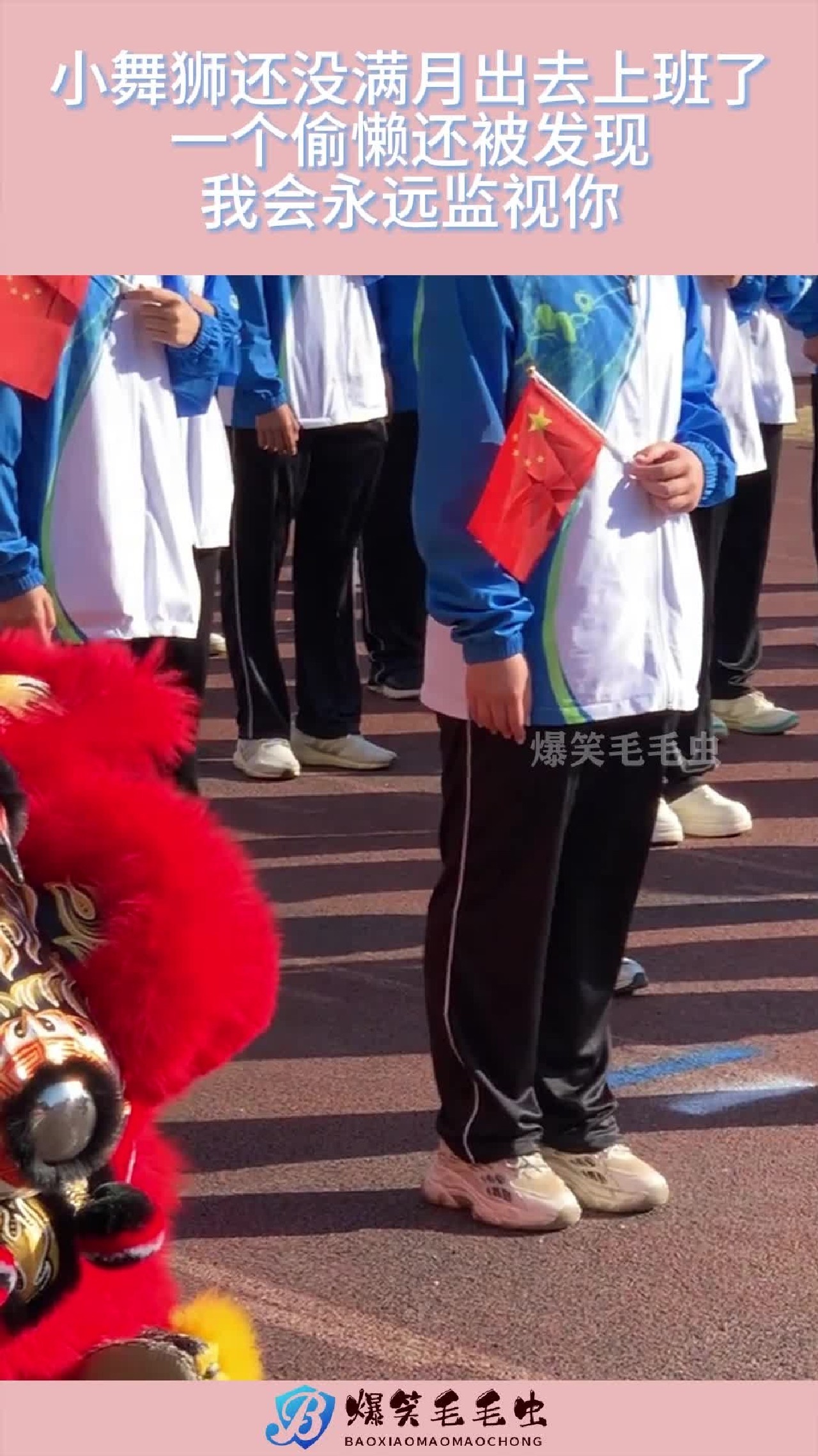 小舞狮还没满月出去上班,了一个偷懒还被发现,我会永远监视你!