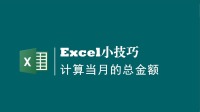 Excel职场问题集锦 第19集 计算当月总额