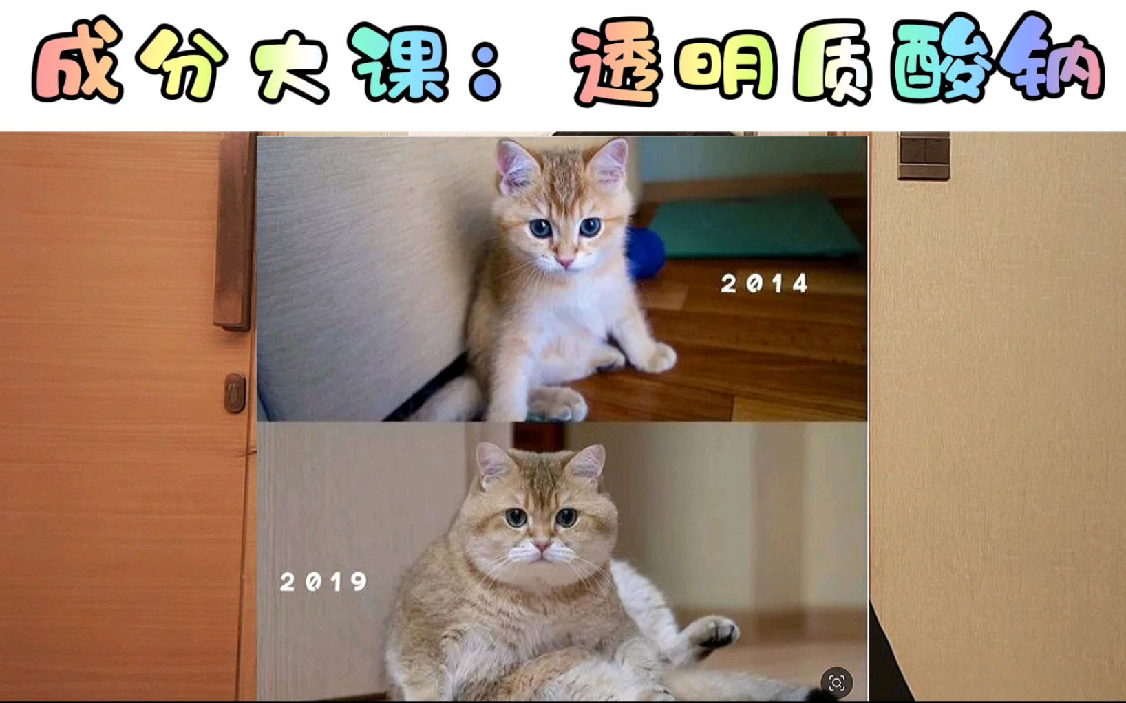 成分大课:透明质酸钠的功过是非