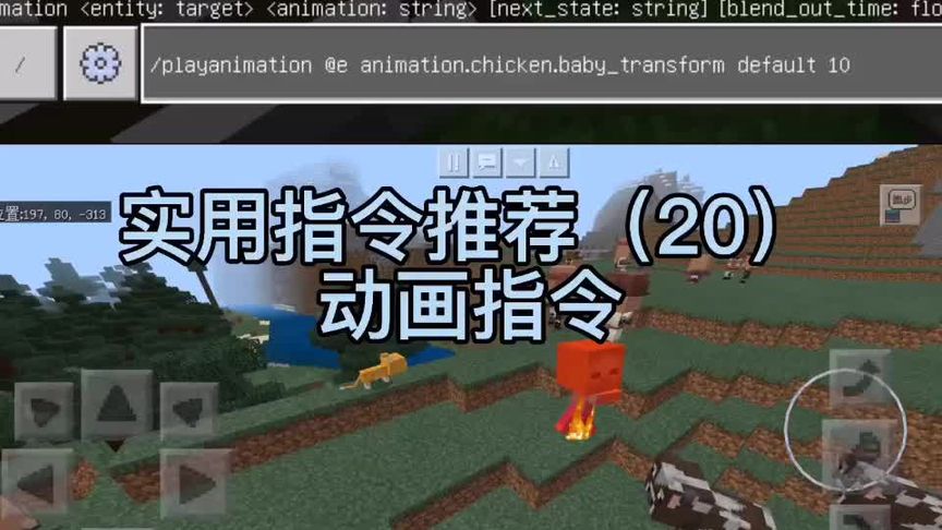 #我的世界 实用指令推荐!动画指令!头变大!变成巨人
