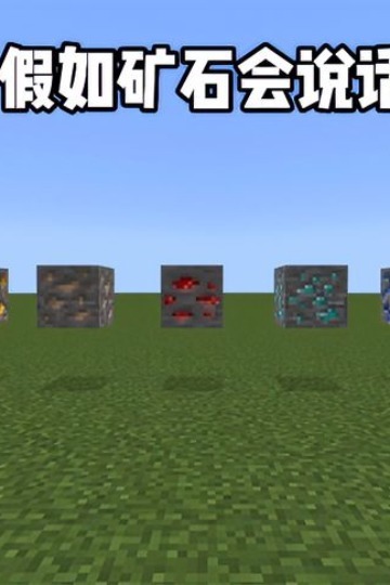 我的世界:你觉得矿石会对玩家说些什么?