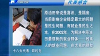 十八大关键词:全面建成小康社会