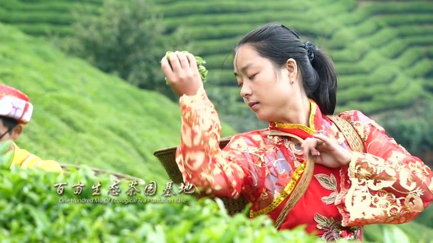 你不知道的恩施富硒茶