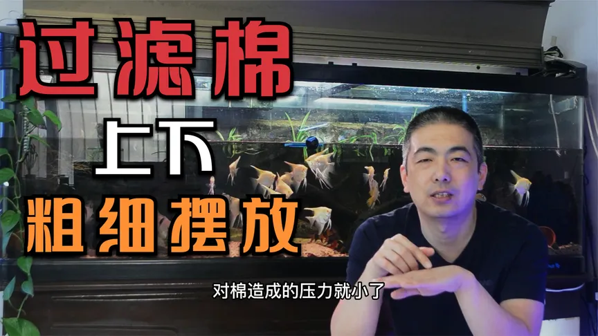 过滤滤材摆放不需要顺序,那么过滤棉呢,上下层怎么铺才能更有效