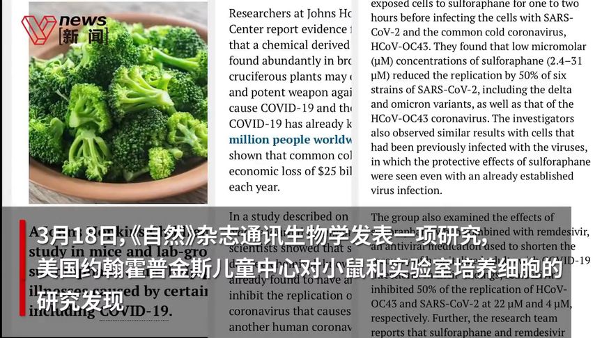 研究发现:花椰菜可能有助应对新冠病毒,萝卜硫素成关键成分