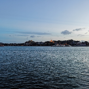 我的猫猫叫旺财 