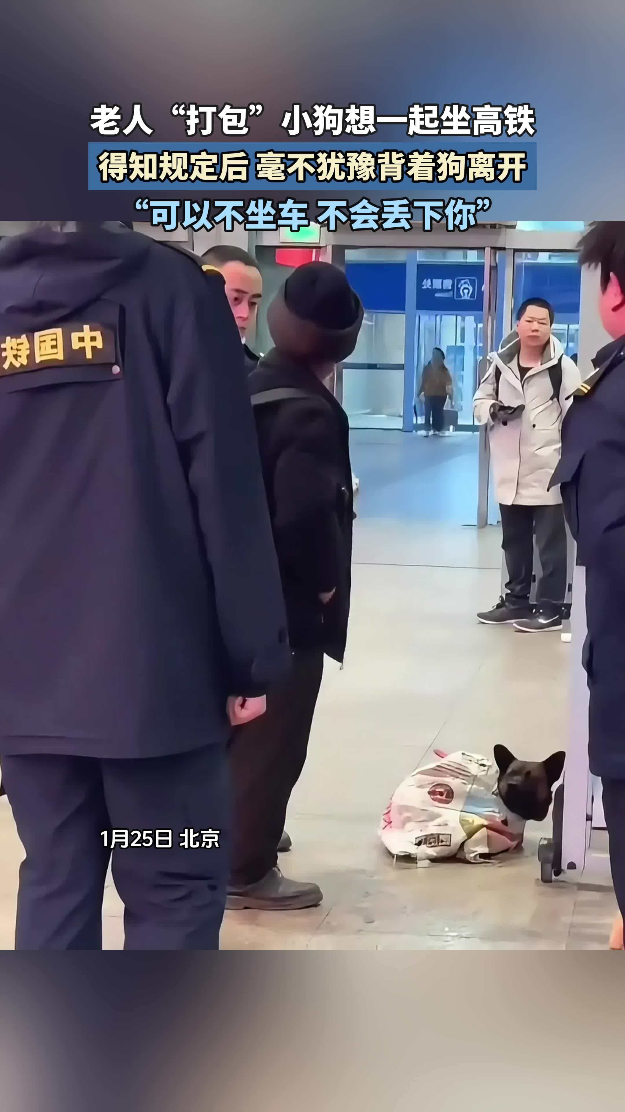 老人"打包"小狗想一起坐高铁,得知规定后毫不犹豫背着狗离开。