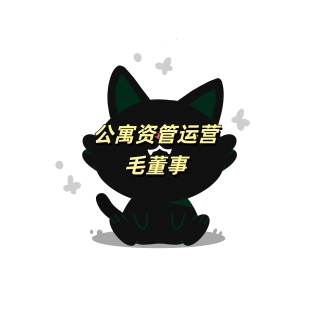 公寓资管运营毛董事 