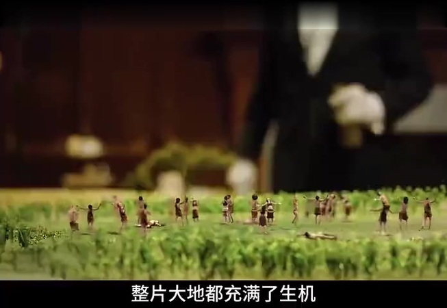 forest阿 视频已打包,欢迎围观!