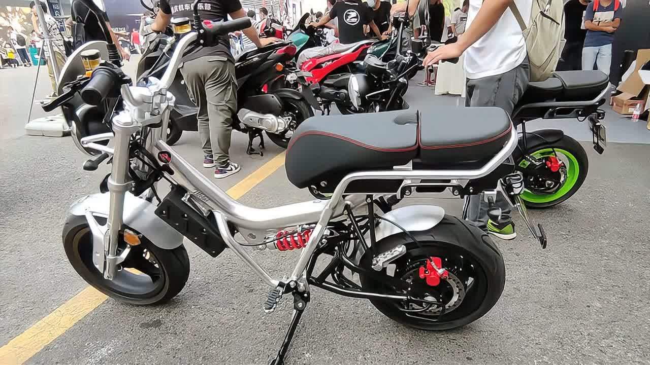 个性的电动车,锂电池,博世电机,代步神器!