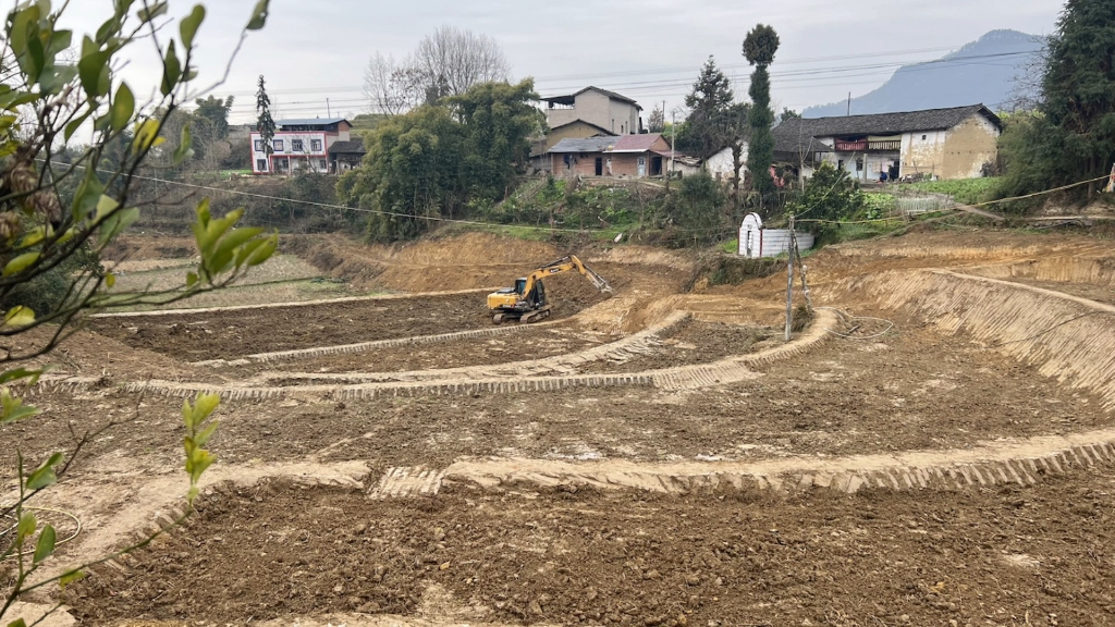 #我的乡村生活 #三农 建设高标准基本农田,促进农业现代化发展。