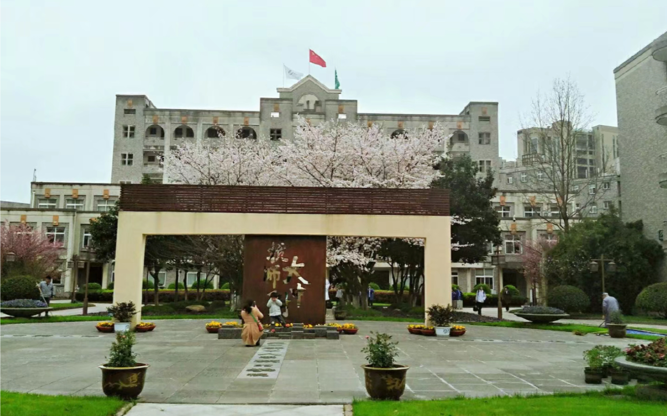 杭师大附中2017级高三4班 社会实践总结视频by 灵璧回春(萝卜兔)