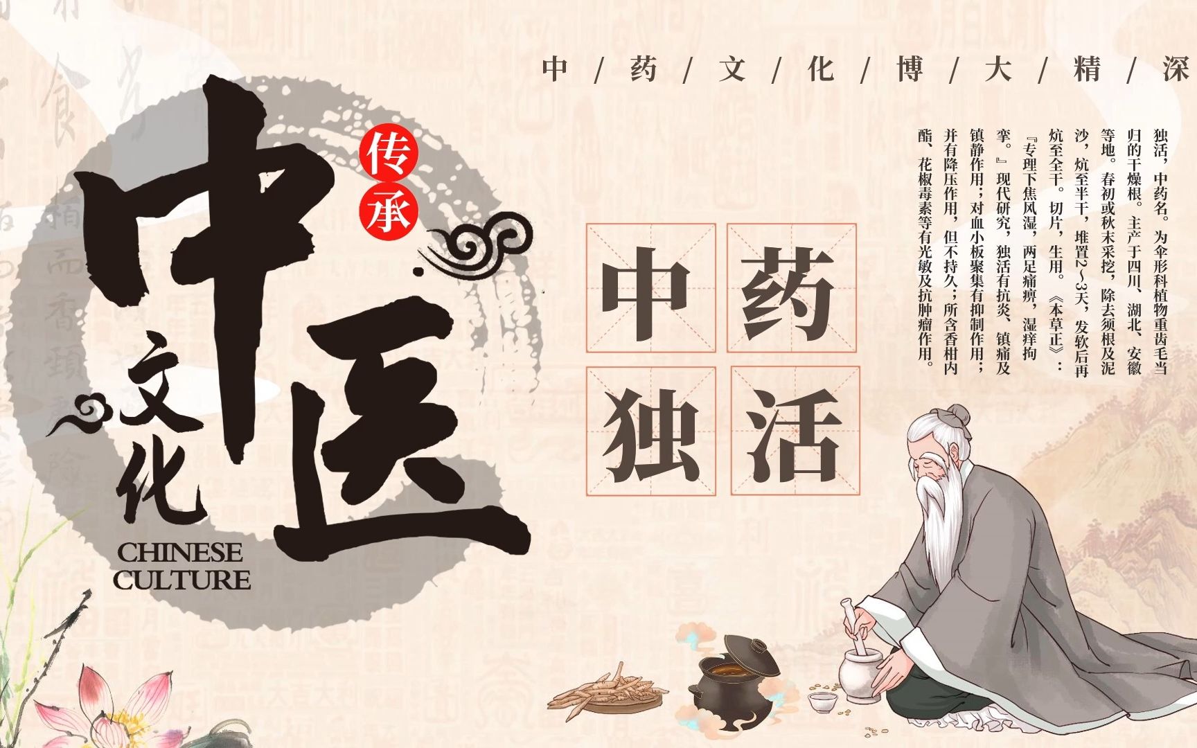 祛风湿药-祛风湿散寒药-独活