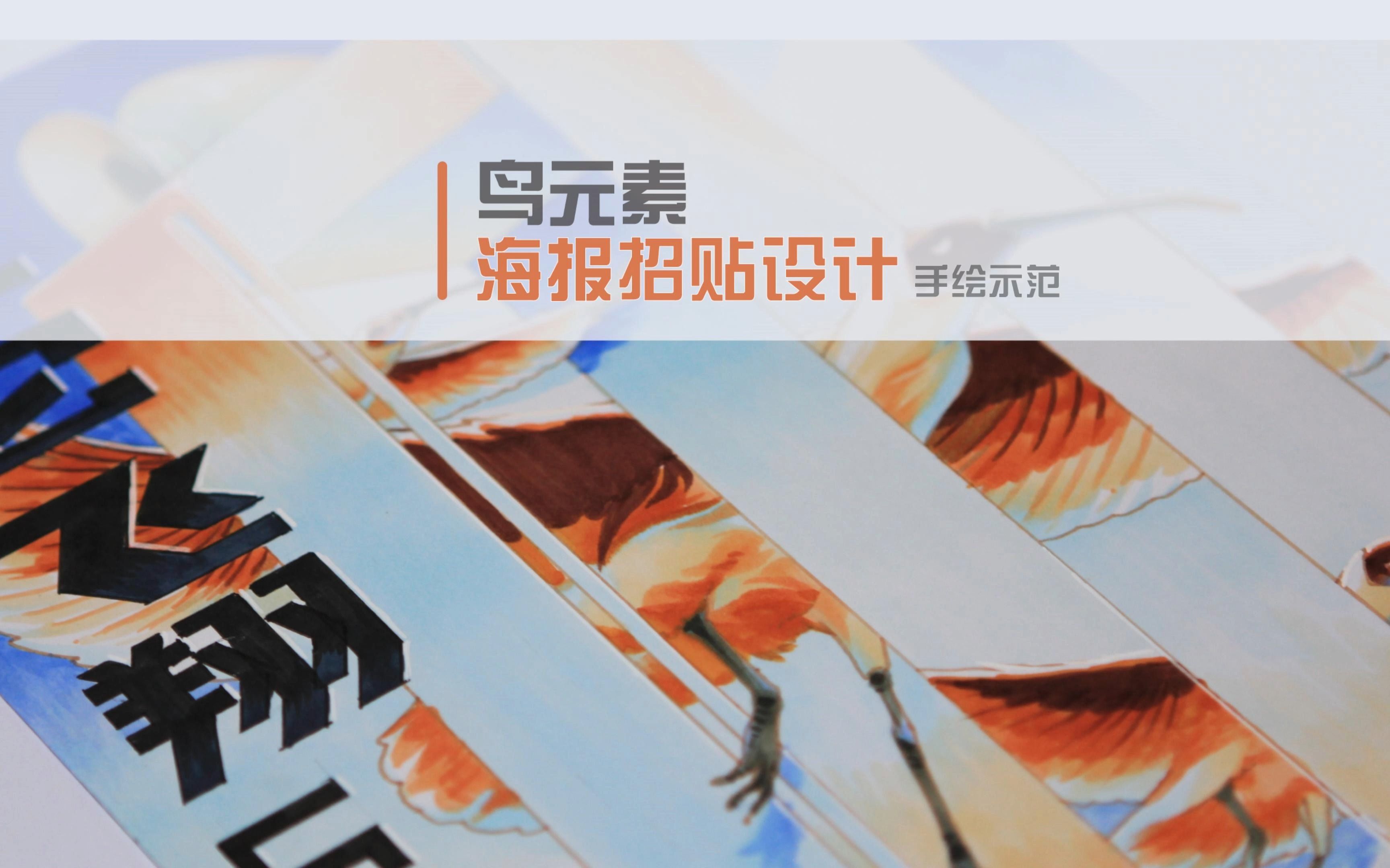 视觉传达设计考研:海报招贴手绘设计-鸟类元素