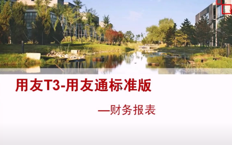 T3标准版-013财务报表