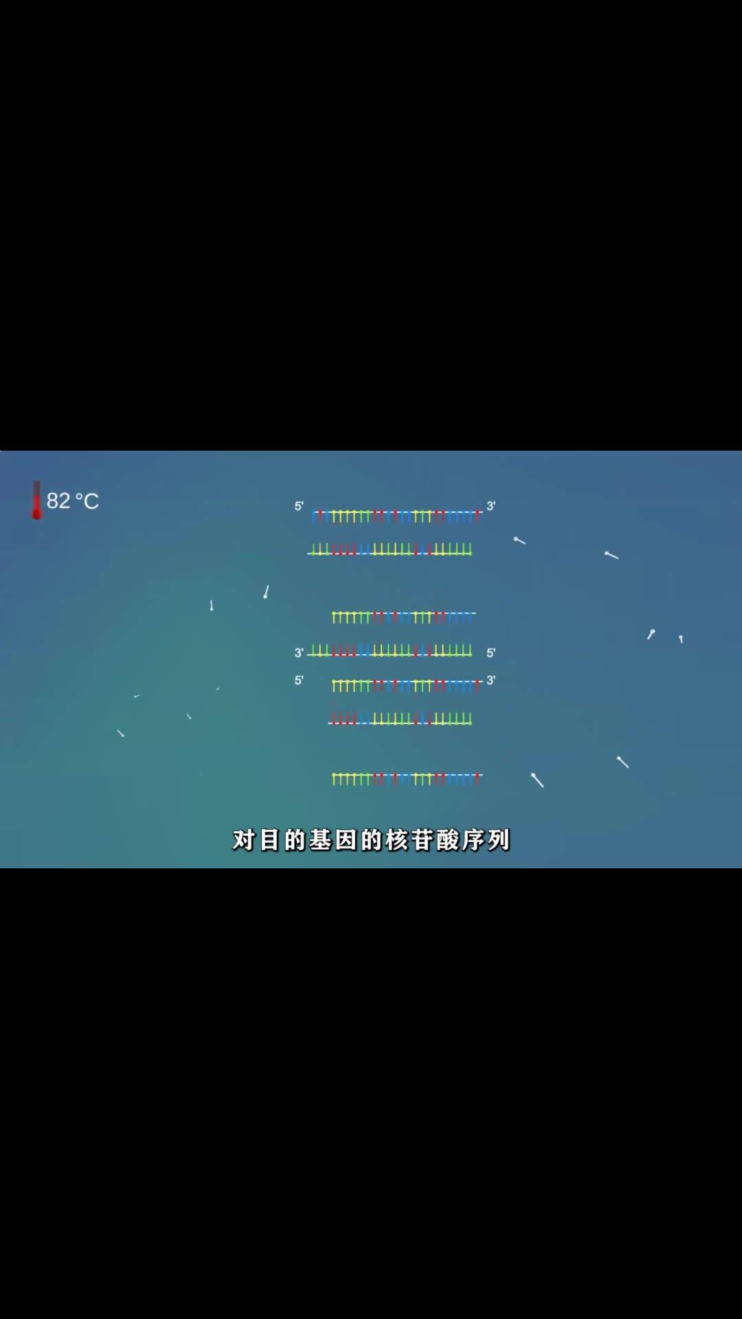 PCR聚合酶链式反应:获取和扩增目的基因
