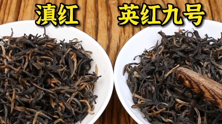 英红九号与滇红茶有啥区别?