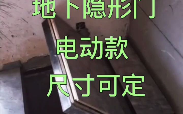 酒店复式地下室隐形门电动门进口电机密室暗门