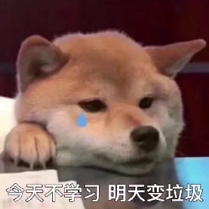 Breeze澈 